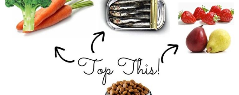 5 Healthy Dog Food Toppers Vet In St Petersburg FL 5-healthy-dog-food-toppers-vet-in-st-petersburg-fl